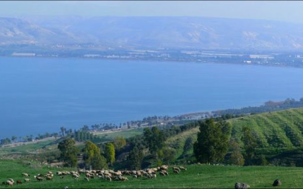 Two rockets from Syria land in Sea of Galilee full of swimmers - Jewish ...