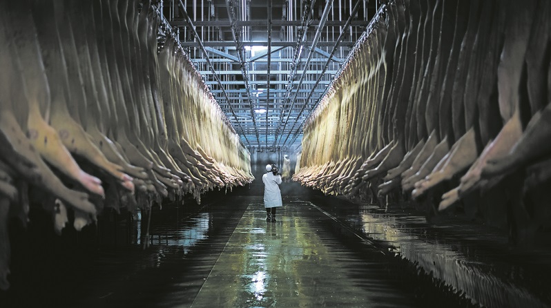 Eating Animals author Jonathan Safran Foer: 'Never has man eaten so ...