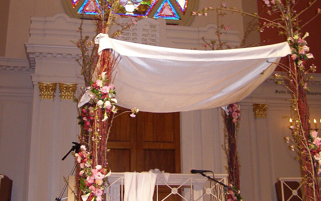 Document on prevalence of forced Charedi marriages handed to government ...