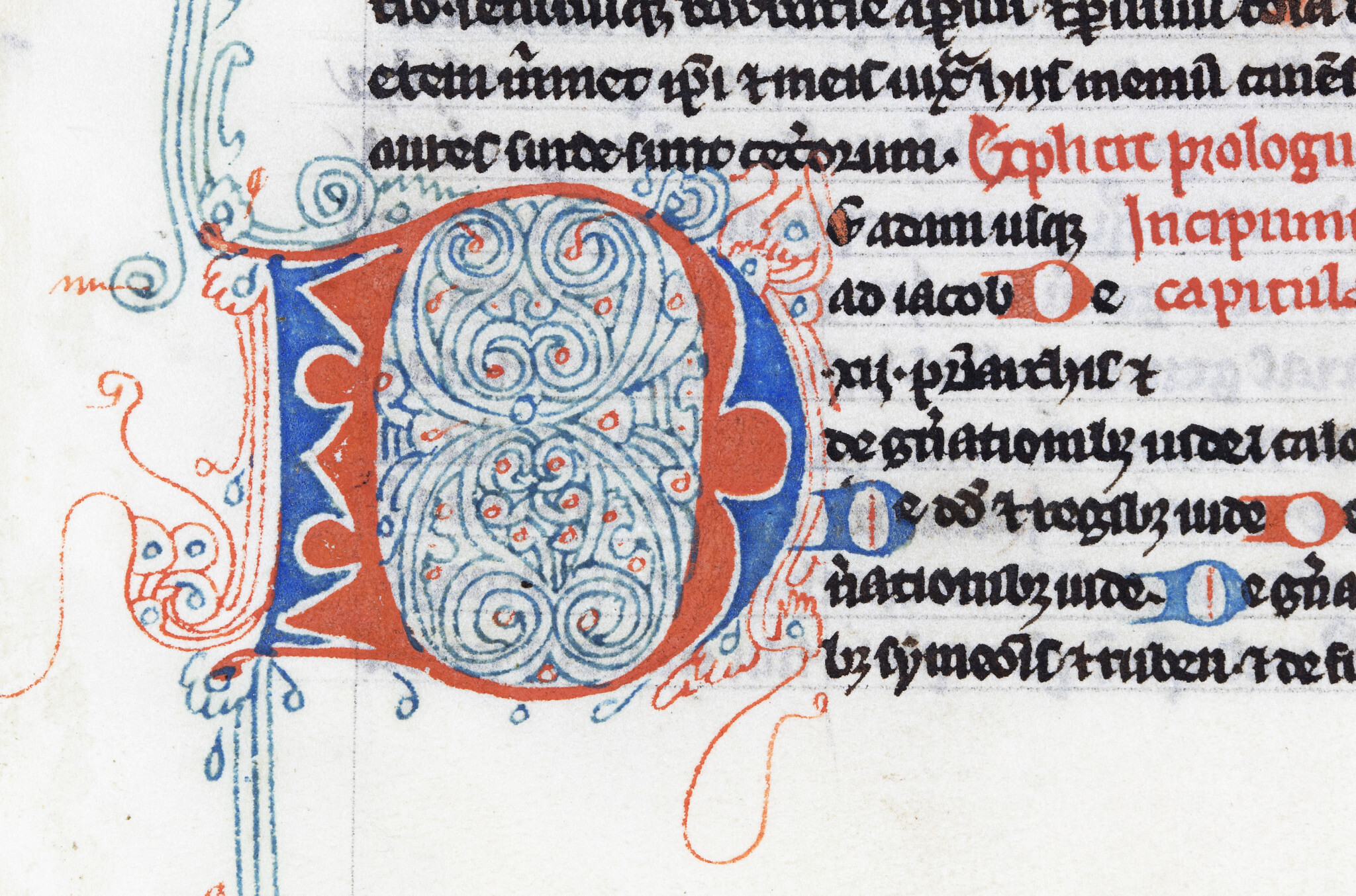 Page from 800-year-old bible on display at Glastonbury Abbey - Jewish News