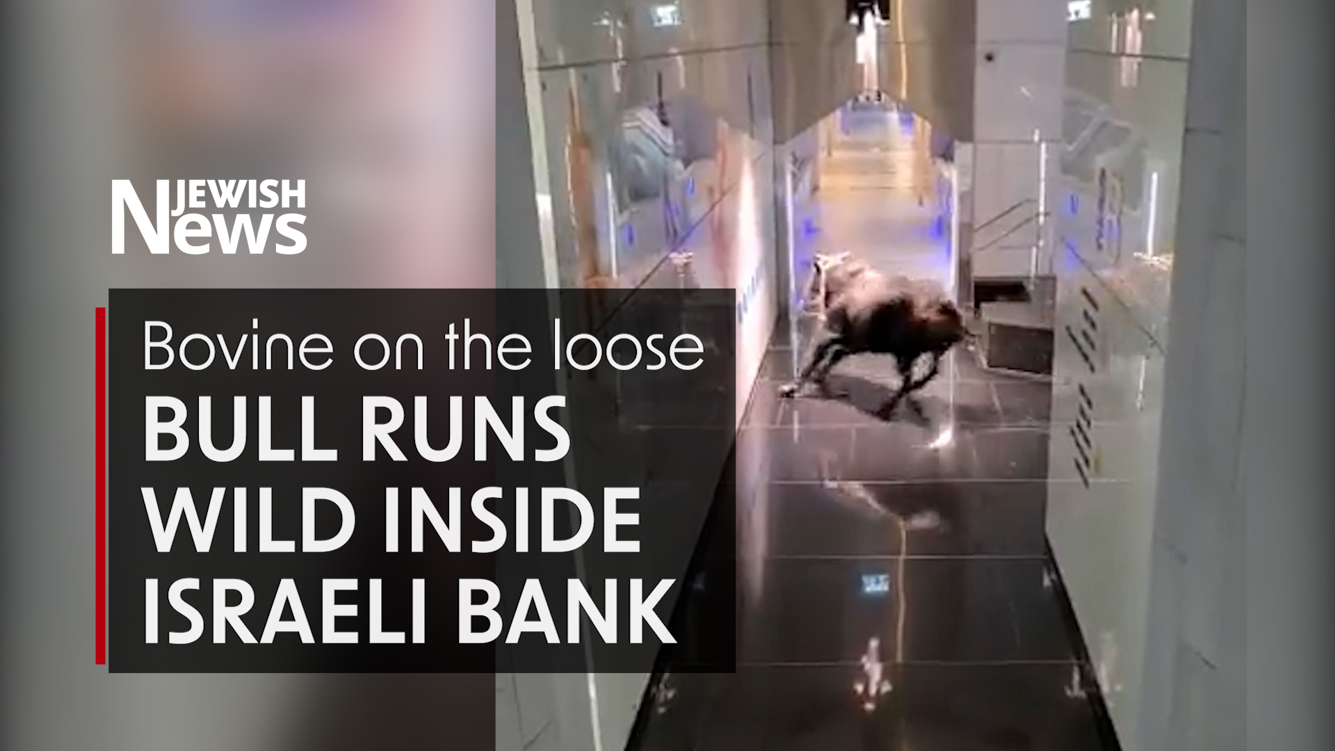 Unchained bull runs wild in the corridors of an Israeli bank - Jewish News