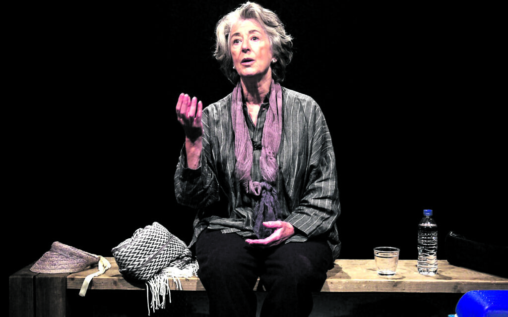 Maureen Lipman hits back at claim her new show compares Jews to Nazis ...