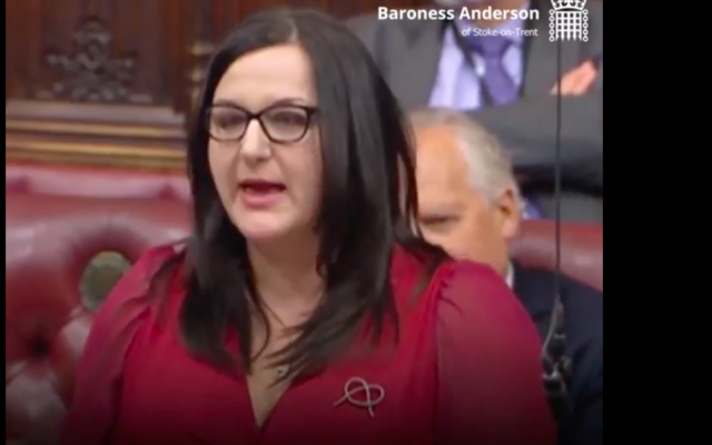 Baroness Anderson: The Diane Abbott racism scandal is 'sad and ...