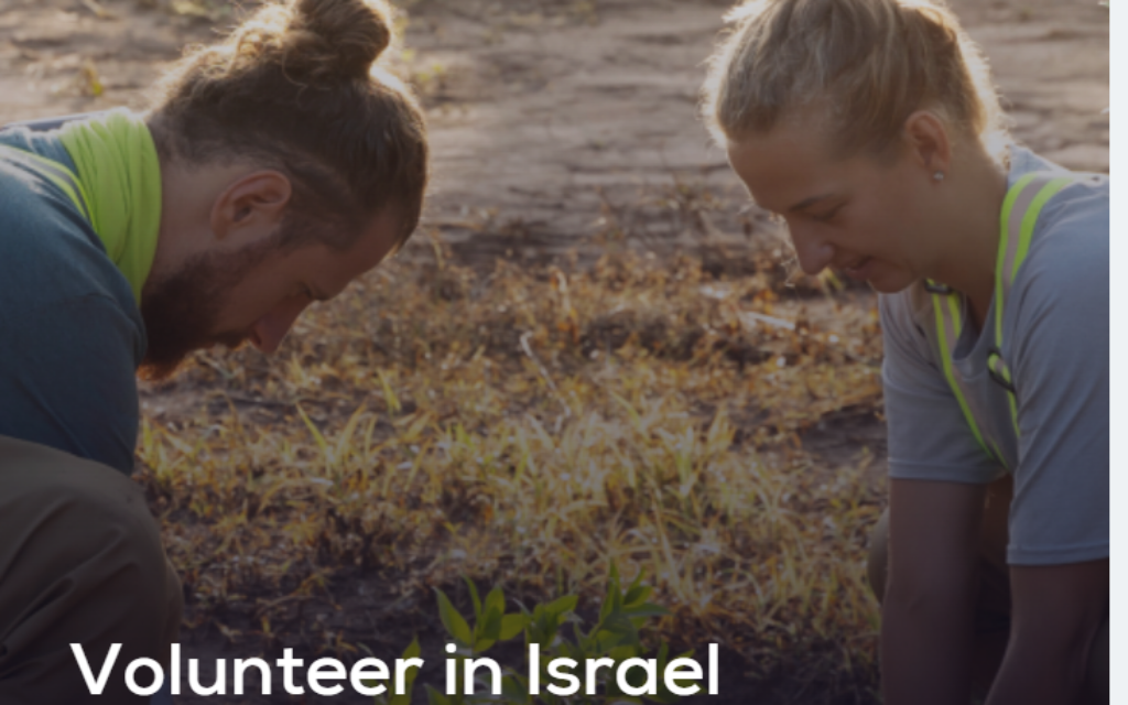 Get packing, as UJIA launches special Birthright volunteering programmes in Israel - Jewish News