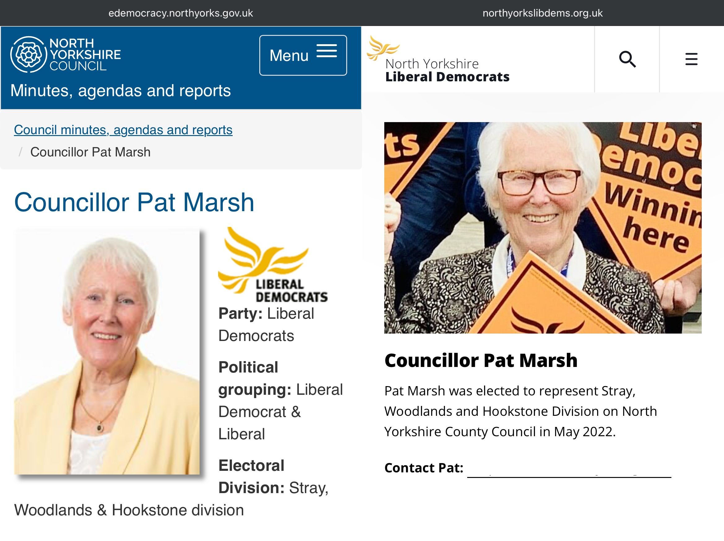 Another Lib Dem councillor embroiled in antisemitism scandal over 'vile ...