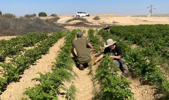 The hummus man who refused to take 'Made in Israel' off the label ...