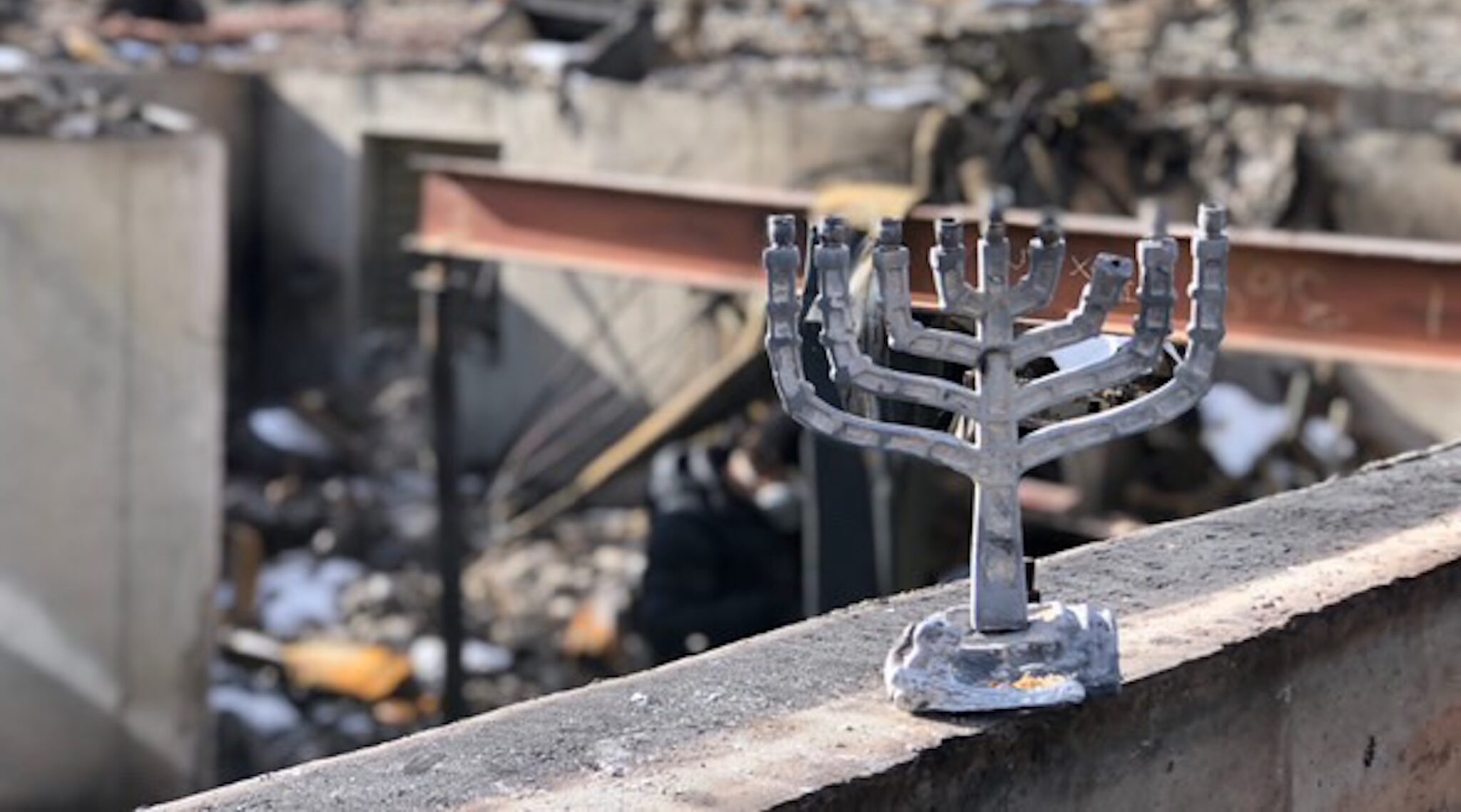 Just things’ — like what my LA neighbours have lost — are what makes ...