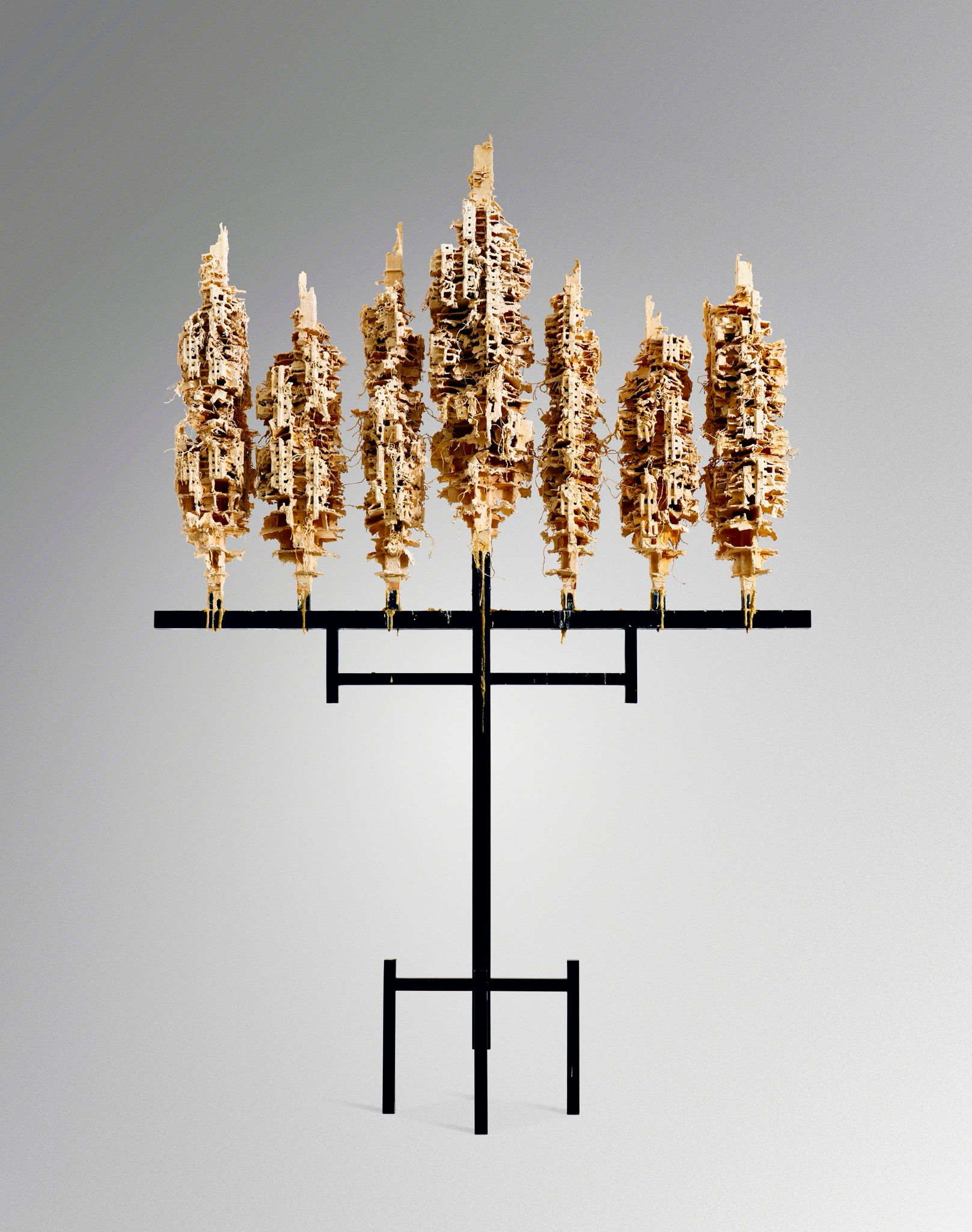 Making sense of the sedra: Vayeshev - Jewish News